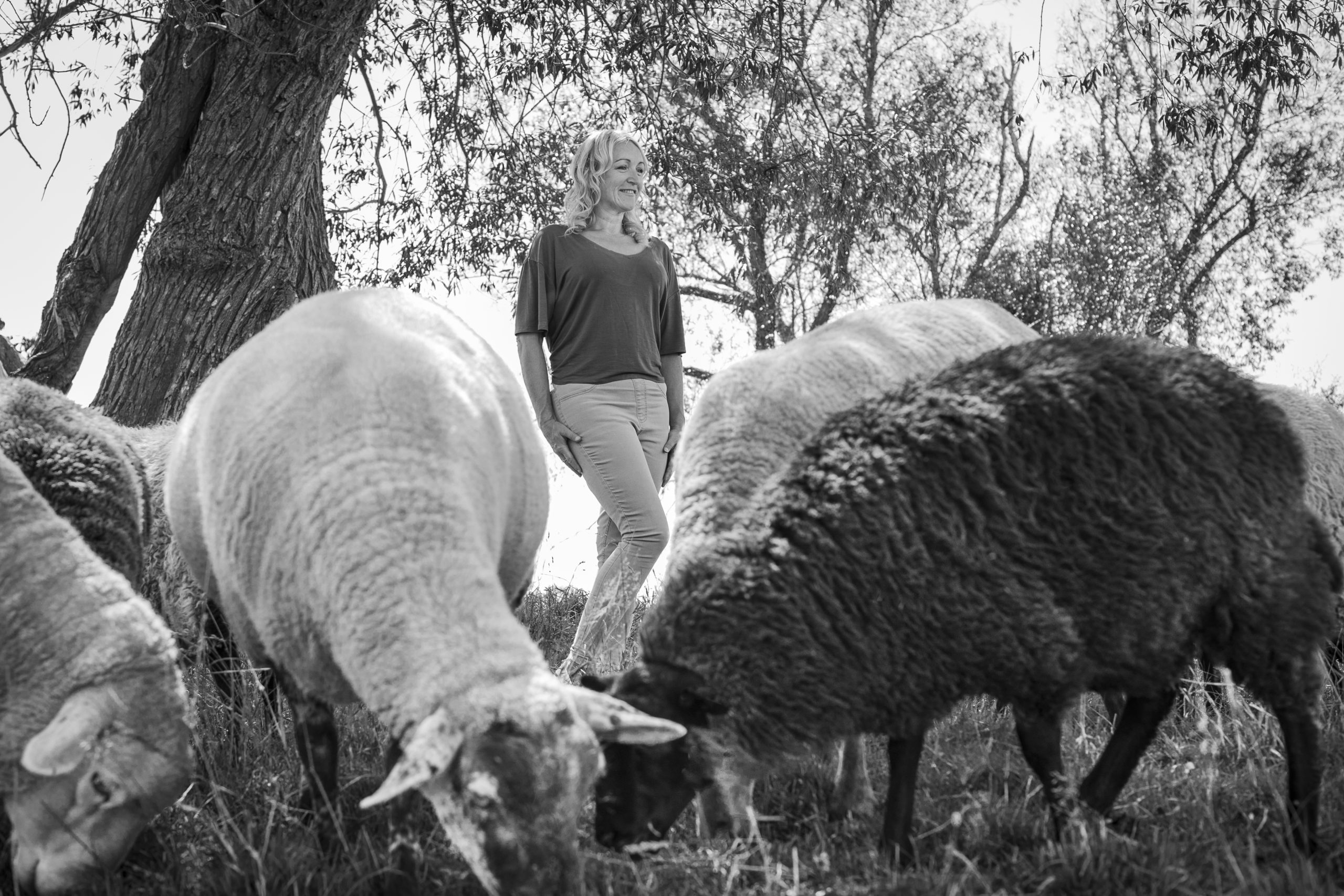 On the Farm - White Wolf Studio